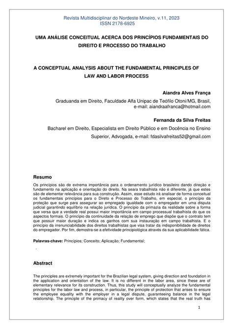 PDF UMA ANÁLISE CONCEITUAL ACERCA DOS PRINCÍPIOS FUNDAMENTAIS DO