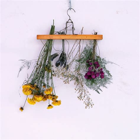 Aprende A Secar Tus Flores En Casa Revestida