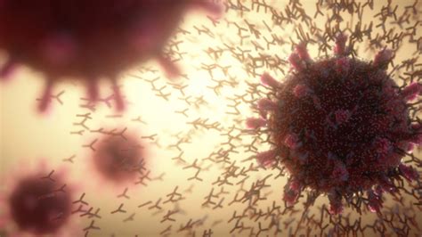 Covid 19 Un Traitement Par Anticorps Monoclonaux Pour Les Personnes