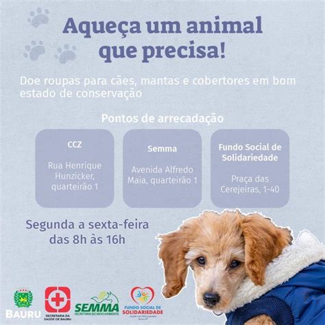 Fundo Social de Solidariedade CCZ e Semma seguem arrecadação de