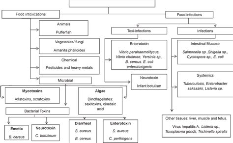 Classification Of Foodborne Diseases Transmitted By Foods Fbd And