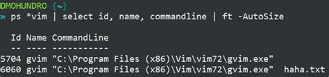 quickly get the command line arguments from processes with powershell