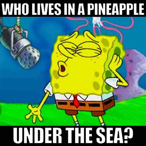 Funny Spongebob Memes And Interesting Facts
