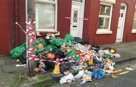 Pengaruh Limbah Rumah Tangga Bagi Lingkungan Dislhk Badung
