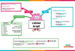 Attribut Me Exercices Cours Valuation R Vision Pdf Imprimer