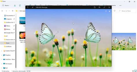 Cómo ver una vista previa de archivos sin abrir en Windows