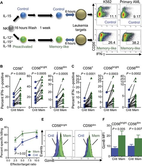 Cytokine Induced Memory Like Natural Killer Cells Exhibit Enhanced