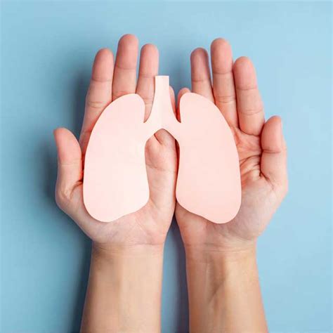 Lung Transplant Criteria Are You Eligible My Southern Health