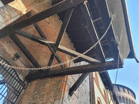 Jak zabezpieczyć parapety i przewody wentylacyjne budynku przed ptakami