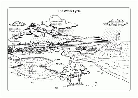 Diagram Clip Art Library