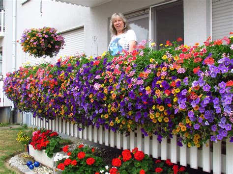 Rankende Blumen Für Balkon DE Balkon