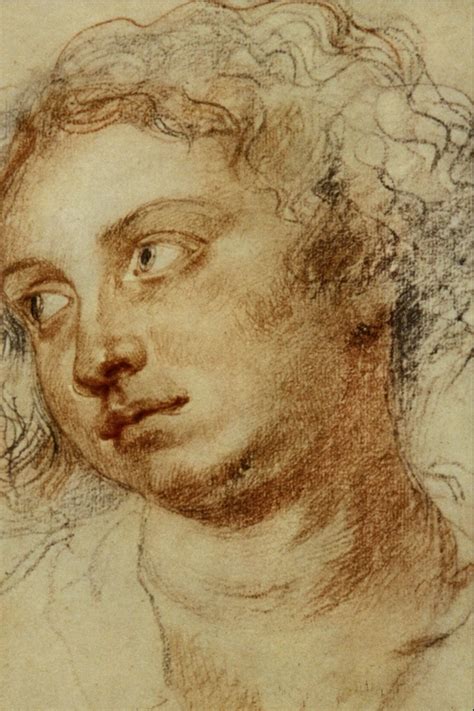 Too Much Art 2 Crowes Rubens Peter Paul Rubens Trois Crayons
