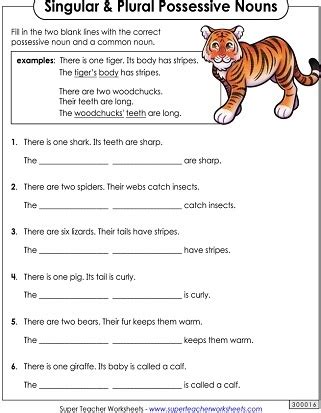 Mastering Singular And Plural Possessive Nouns Worksheets For