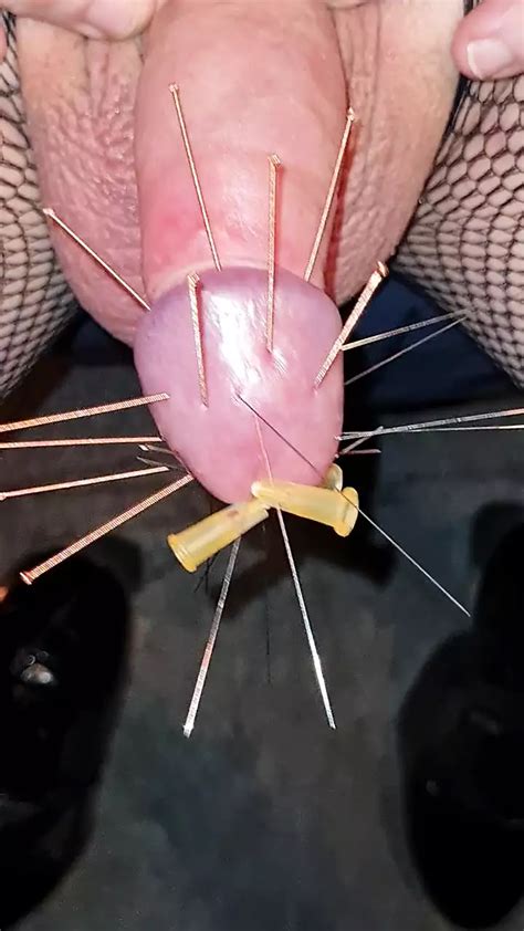 Nutzlose Schwanzbestrafung Mit Nadeln Teil 2 XHamster