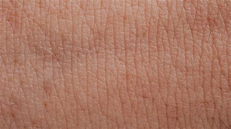 Coming Soon Human Skin You Can Print At Home ISRAEL21c