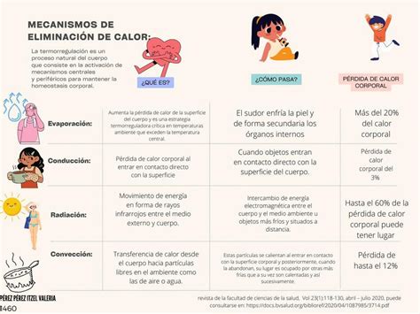 Mecanismos de Eliminación de Calor Itzel Pérez uDocz