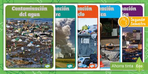 Póster Tipos de contaminación teacher made Twinkl
