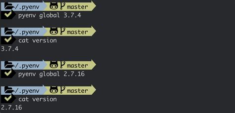 python两个编程环境 python编程【环境篇】 如何优雅的管理python的版本 csdn博客
