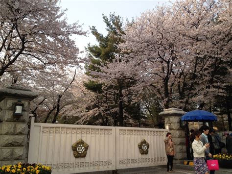 Korean Phrases You Should Know Before Going To Korea HubPages
