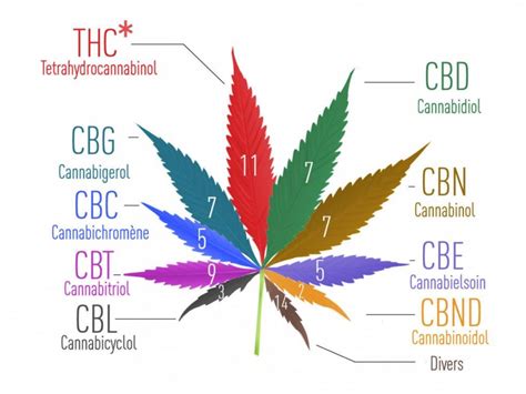 Cannabis And The Environment What Science Tells Us And 43 OFF