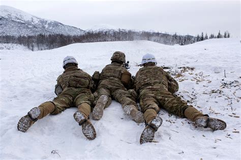 Dvids Images Denali Paratroopers Conduct Squad Live Fire Training
