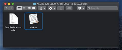 Test IOS Build From Production Xcode On Beta IOS Simulators