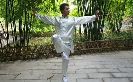 LOS 5 ESTILOS DE KUNG FU MÁS EFECTIVOS
