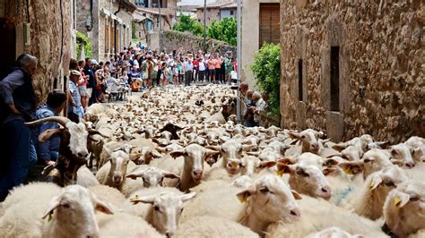 La Unesco declara la trashumancia y la técnica del vidrio soplado