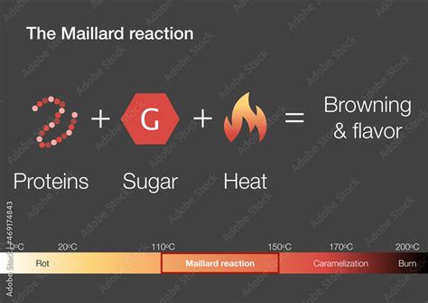 Explanation Of The Maillard Chemical Reaction In Cooking Stock
