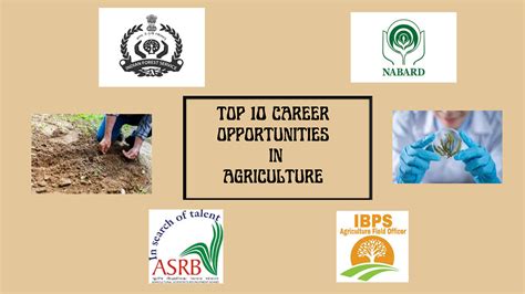 Careers In Agriculture Top 10 Highest Paying Agriculture Jobs In India