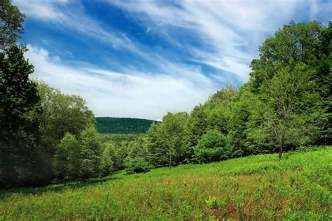 Free Picture Nature Grass Hill Sky Mountain Landscape Cloud