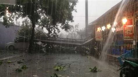 Hujan Deras Disertai Angin Kencang Baliho Dan Pohon Tumbang Di Kota