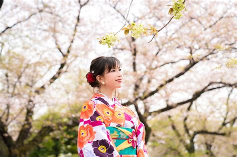 京都二條城NAKED FLOWERS 2023夜櫻光雕秀3月17日起夢幻登場 完美行旅遊情報WAmazing Discover