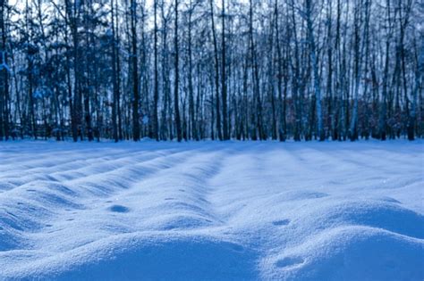 Winter Snow Snowy Free Photo On Pixabay Pixabay