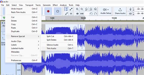 How To Cut And Trim Audio In Audacity Steps Boris Fx