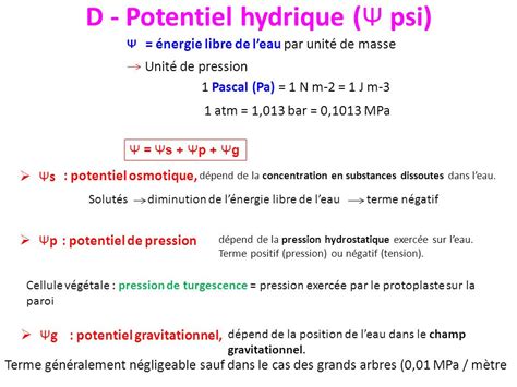 Mise à jour 60 imagen formule potentiel hydrique fr thptnganamst edu vn