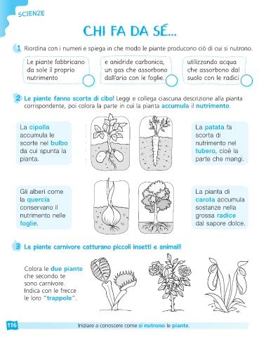 Page Missione Matematica Scoprire