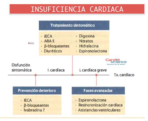 Img Esquema Evolutivo Del Tratamiento De Insuficiencia Cardiaca
