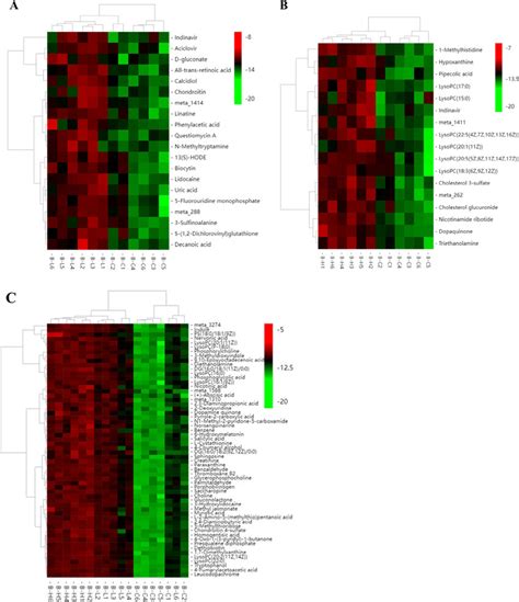 Heatmaps Are Generated By The R Package Pheatmap With Standard Download Scientific Diagram