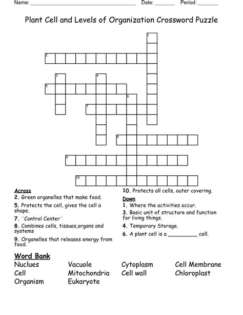 Plant Cell And Levels Of Organization Crossword Puzzle WordMint