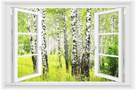 Fototapeta Okno 3D Las Drzewa Przyroda 150X100cm Opinie I Ceny Na