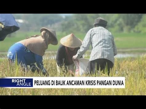 Peluang Di Balik Ancaman Krisis Pangan Dunia Right Angle Kementan