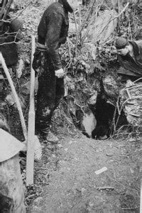 Foibe Storia Testimonianze E Giorno Del Ricordo Studenti It