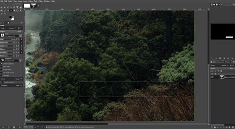 5 Ways To Remove Watermark From Photos TipsMake