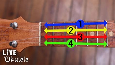 Ukulele Tuning Tips How To Tune A Uke
