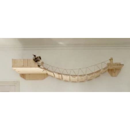 Parc Wood Chat Petit Parcours Mural En Bois