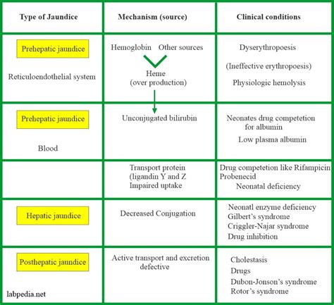 Bilirubin Part Total Direct And Indirect Bilirubin