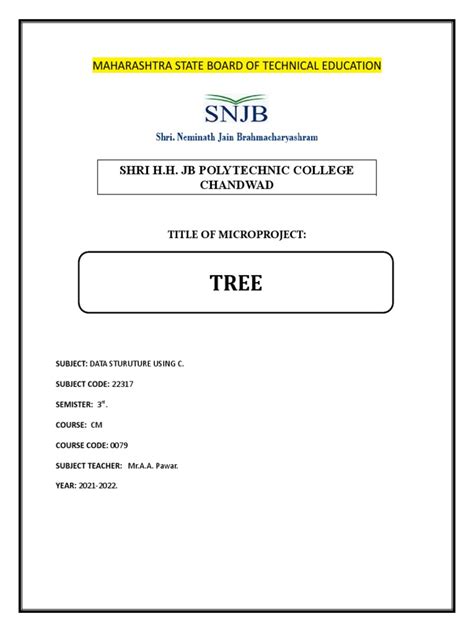 3rd dsu 20 micero project vaishnavi pdf algorithms and data structures