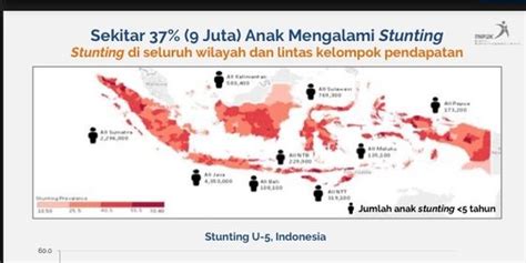 Angka Stunting Sulbar Mencapai 40 38 Persen Tertinggi Kedua Di