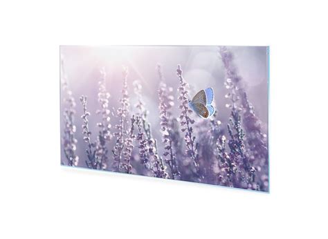 Obraz Na Szkle Homeprint Kwiaty Wrzosu Piękny Motyl 140X70 Cm